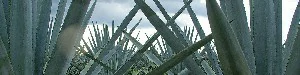 Atengo, Jalisco | Guia Turistica México
