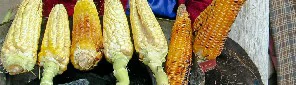 Acuitzio, Michoacán | Guia Turistica México