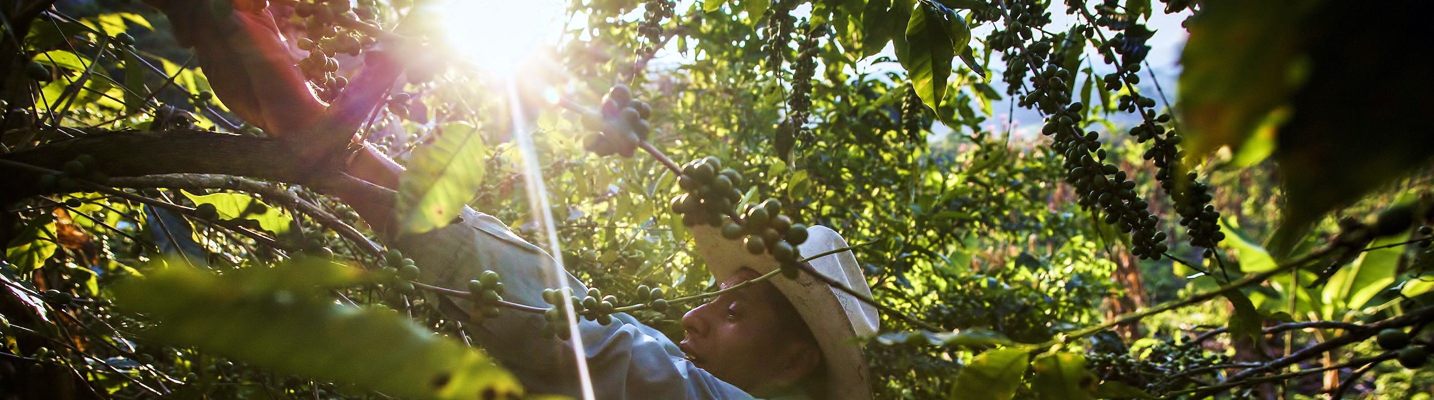 Chicoasén, Chiapas | Guia Turistica México