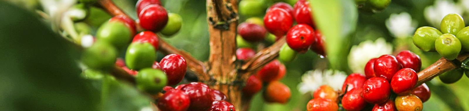Ixhuatán, Chiapas | Guia Turistica México
