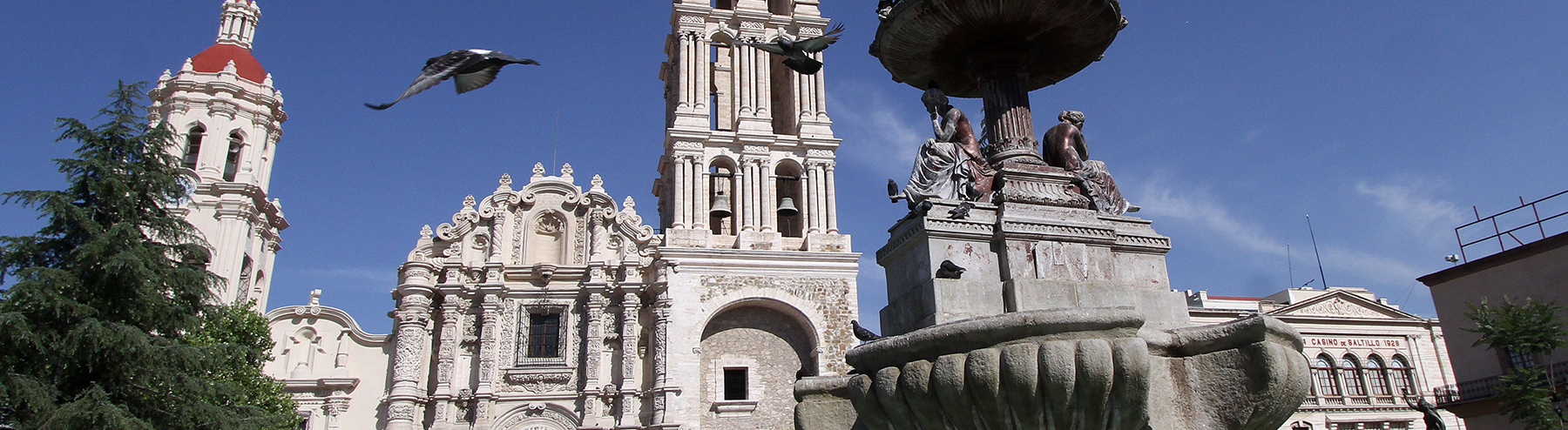 Saltillo, Coahuila | Guia Turistica México