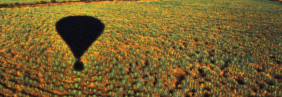 Acatic, Jalisco | Guia Turistica México