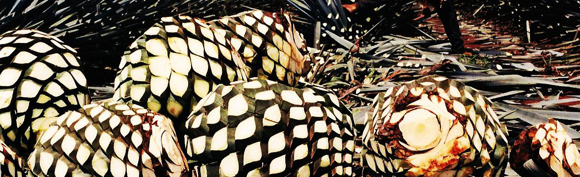 Ahualulco de Mercado, Jalisco | Guia Turistica México