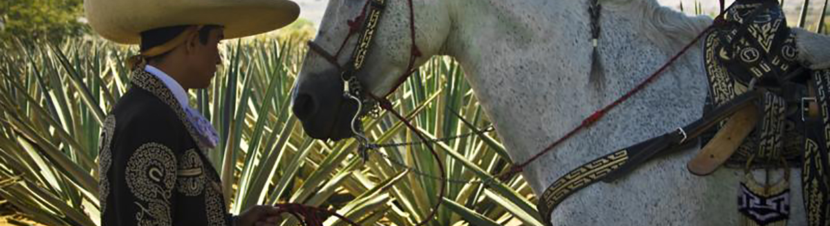 Ixtlahuacán del Río, Jalisco | Guia Turistica México