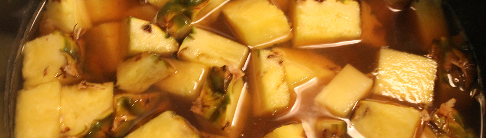 Quitupan, Jalisco | Guia Turistica México