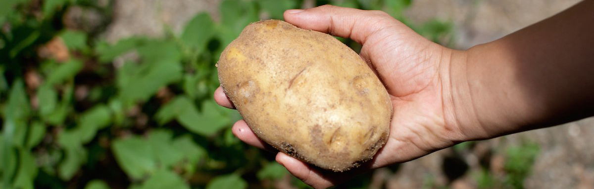 Tancítaro, Michoacán | Guia Turistica México