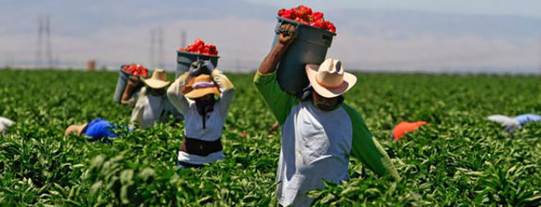 Atzitzintla, Puebla | Guia Turistica México