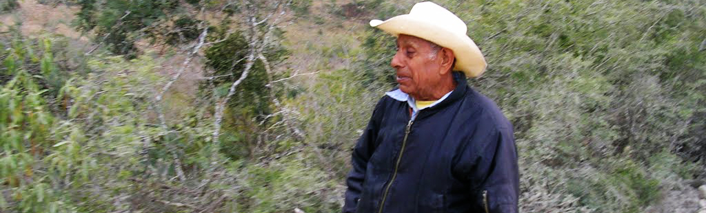 Alaquines, San Luis Potosí | Guia Turistica México