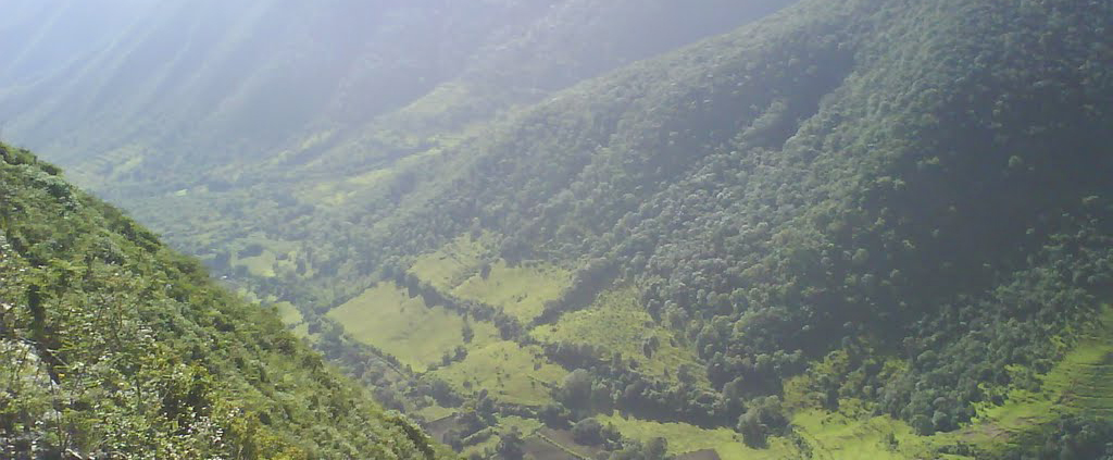 Aquila, Veracruz | Guia Turistica México