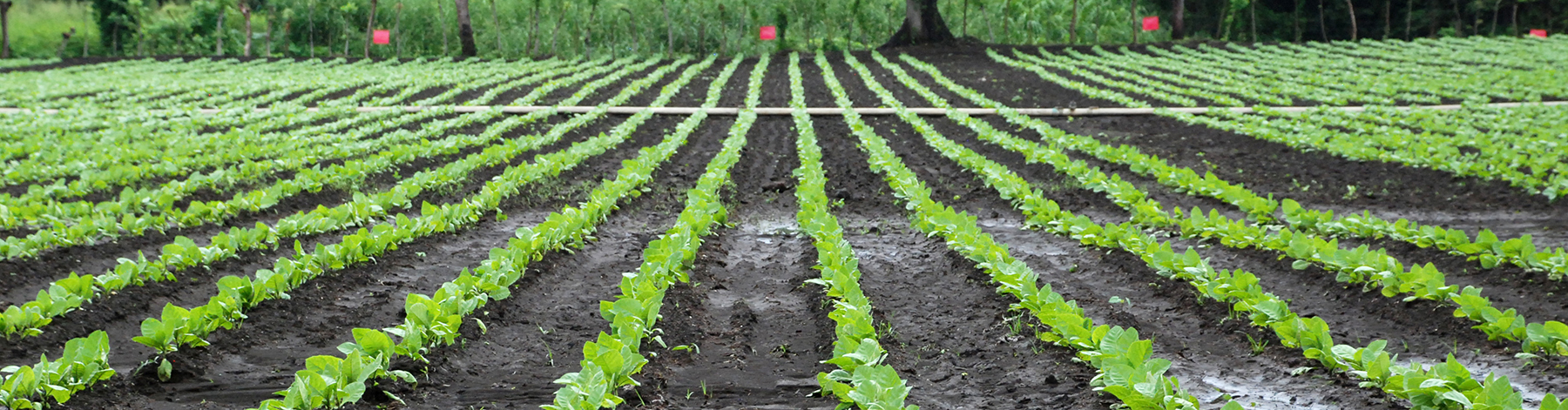 Chalma, Veracruz | Guia Turistica México