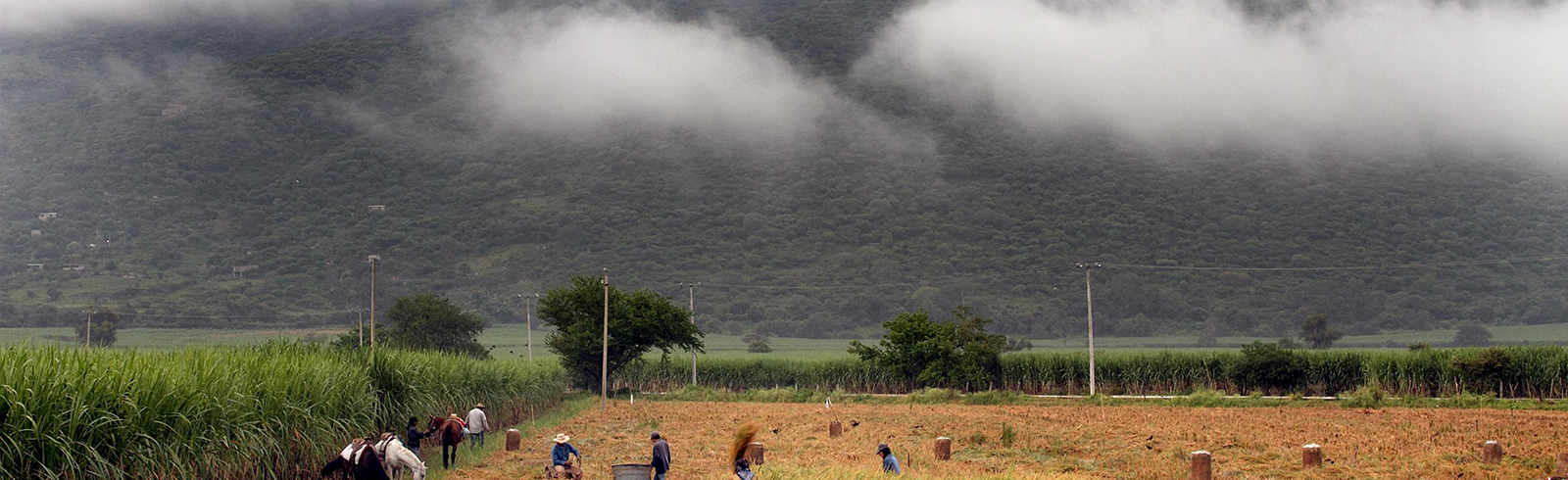 Jilotepec, Veracruz | Guia Turistica México
