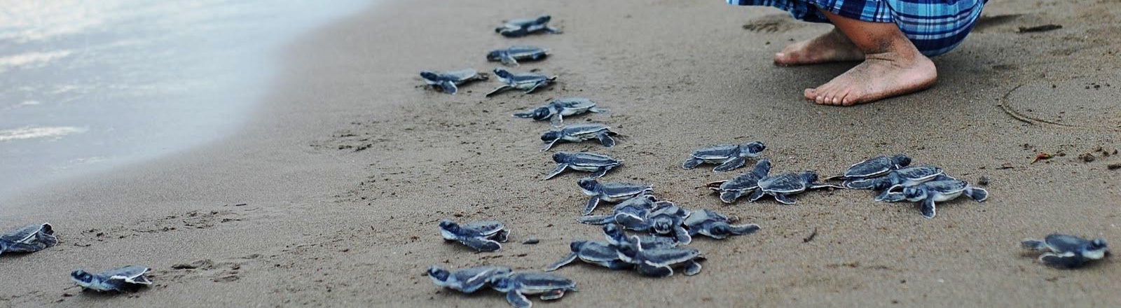 Nautla, Veracruz | Guia Turistica México